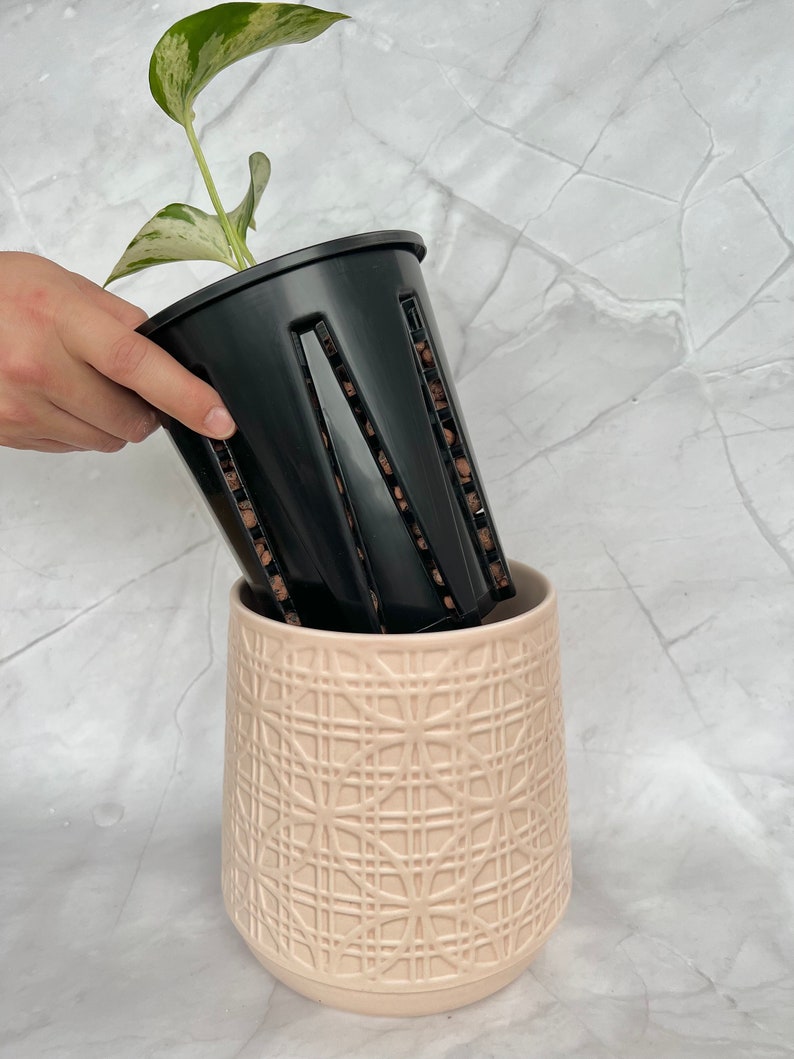 LECA Semi Hydroponics Plant Starter Kit - Etsy