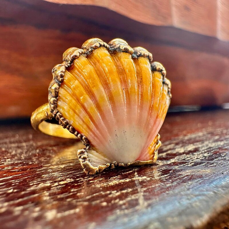 Sunrise Shell - Etsy