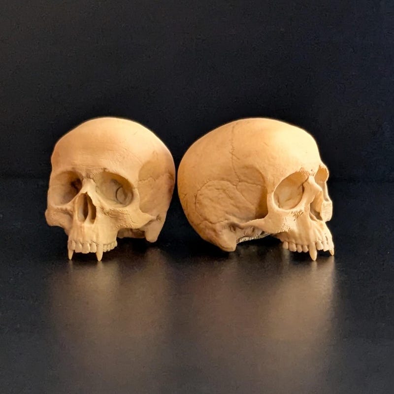 Vampire Skull - Etsy