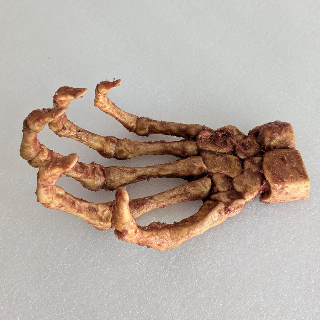 Gruesome Skeleton Hand Replica: Fleshy Blood, Gothic Halloween Decor - Etsy