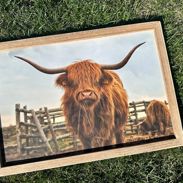 Highland Cow Plaque and Signs - Etsy