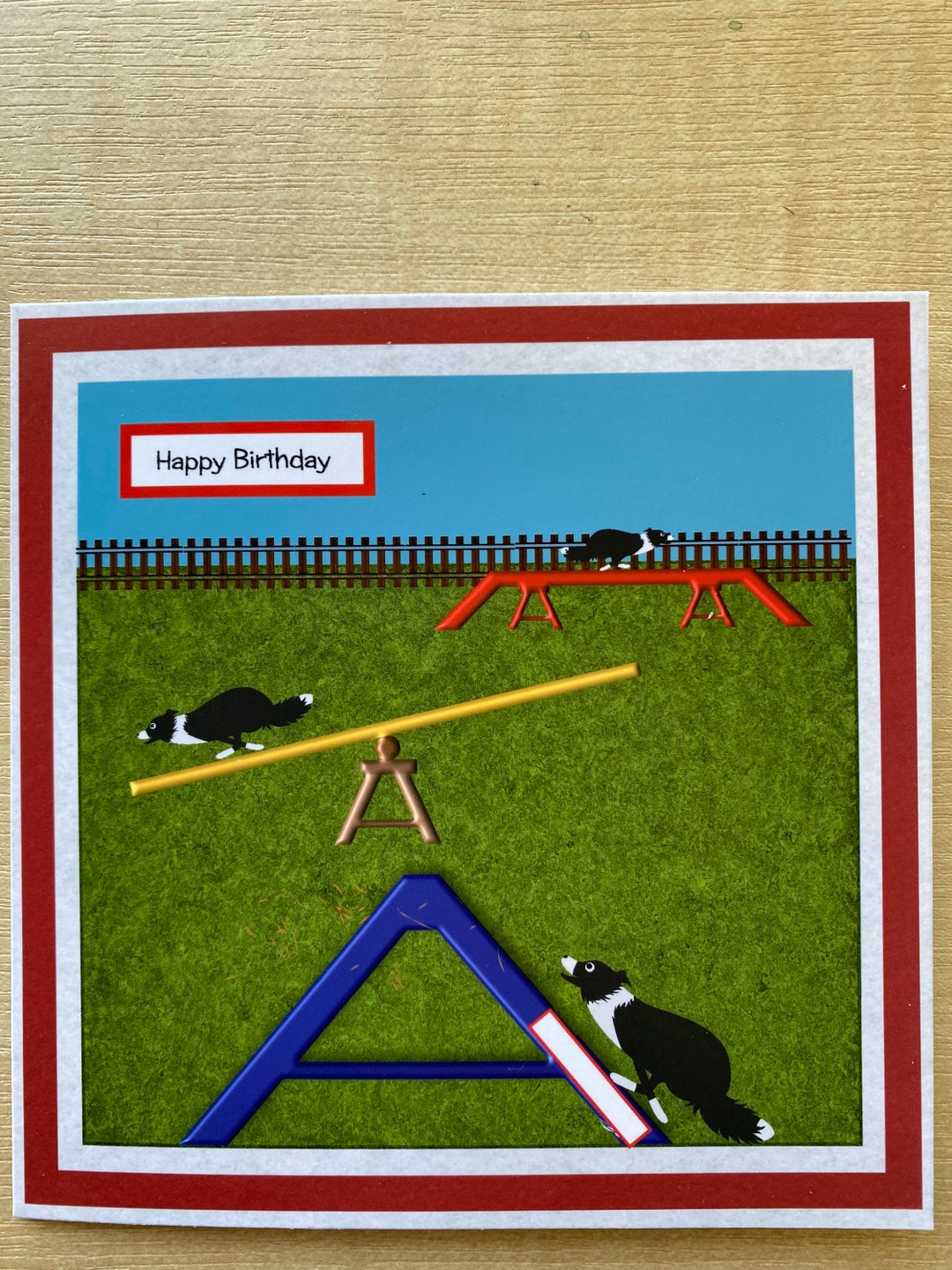 Agility Contacts - Etsy