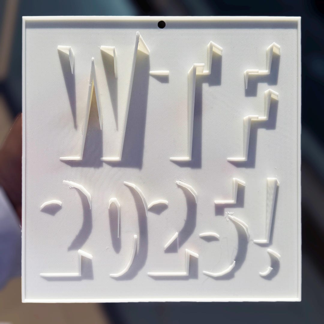 WTF 2025 Shadow Art STL | Magical Illusion 3D Printable Design ...