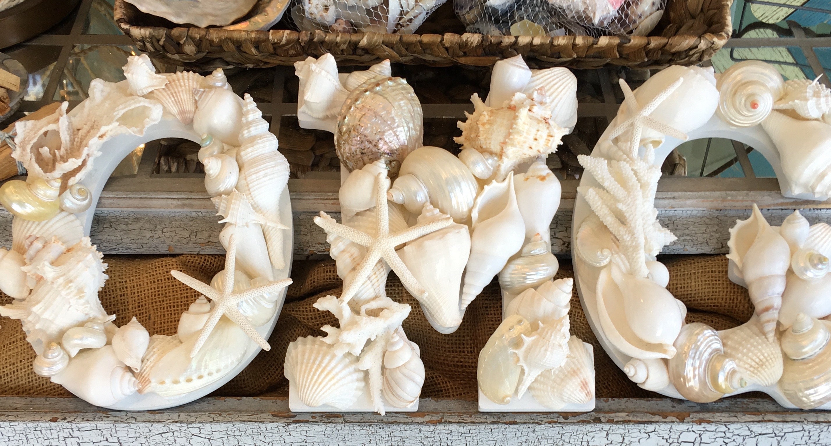 Sea Shell Alphabet - Etsy