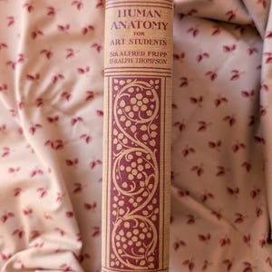 Vintage Book - Human Anatomy for Art Students - 1923 - Sir Alfred Fripp ...