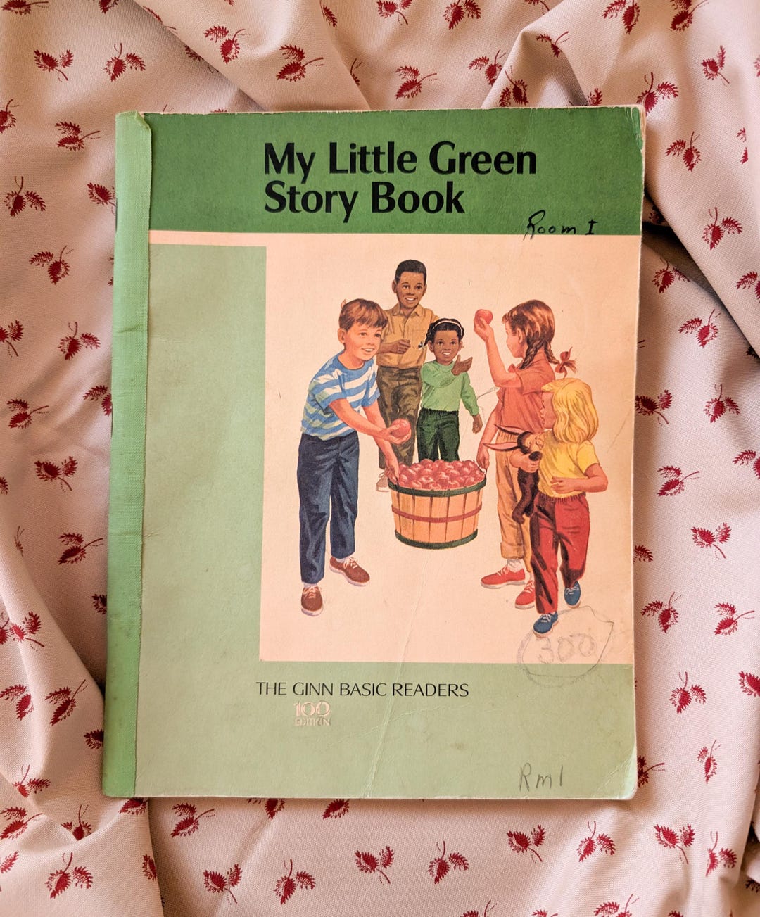 Vintage Children's Book - My Little Green Story Book - 1966 - the Ginn Basic Readers - Etsy