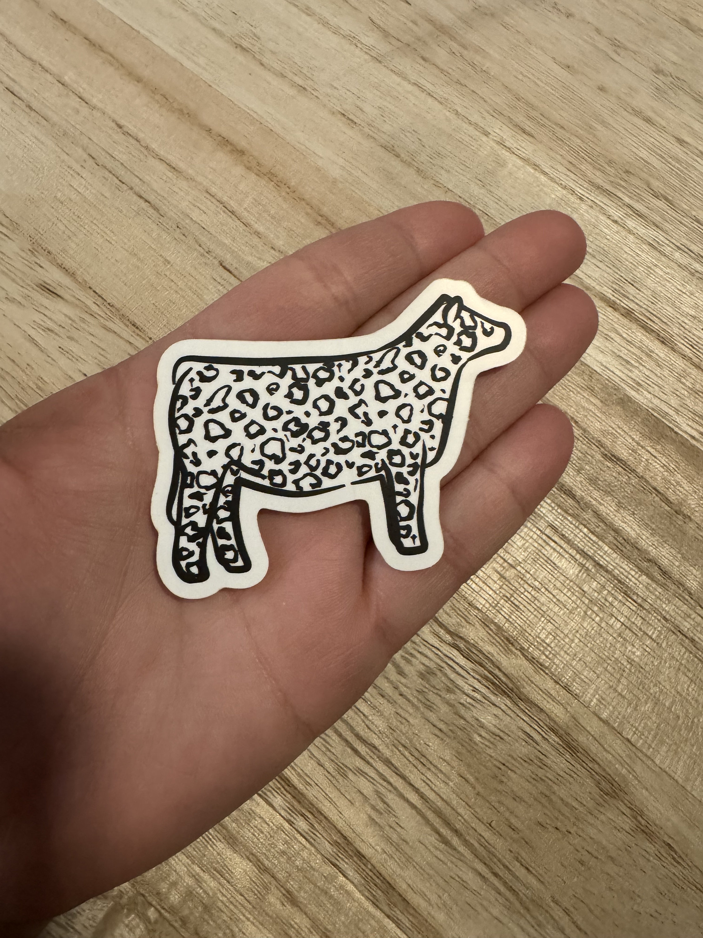 Leopard Show Cow Sticker| Decal| Water Bottle Sticker| Show Animal ...