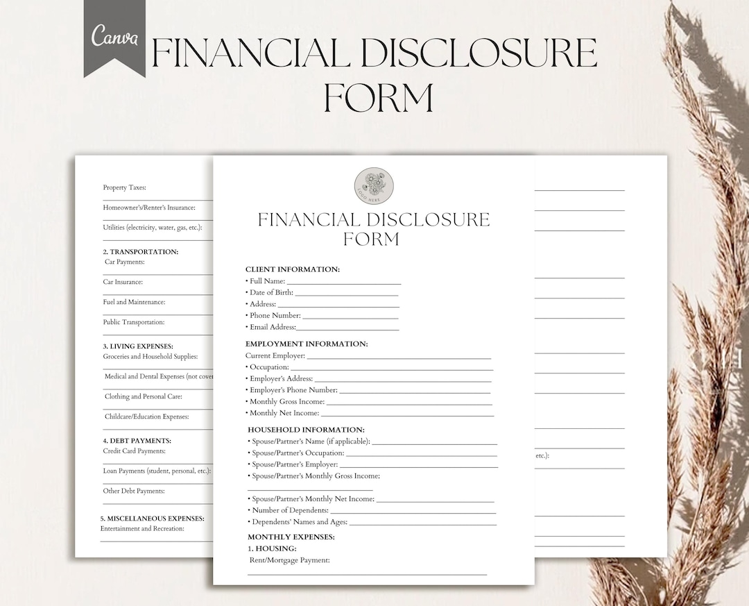 Financial Disclosure Form Template, PDF, Canva - Etsy