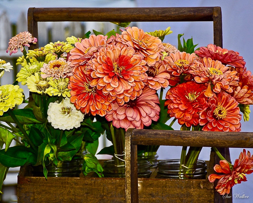 Bold Color Photography - Etsy