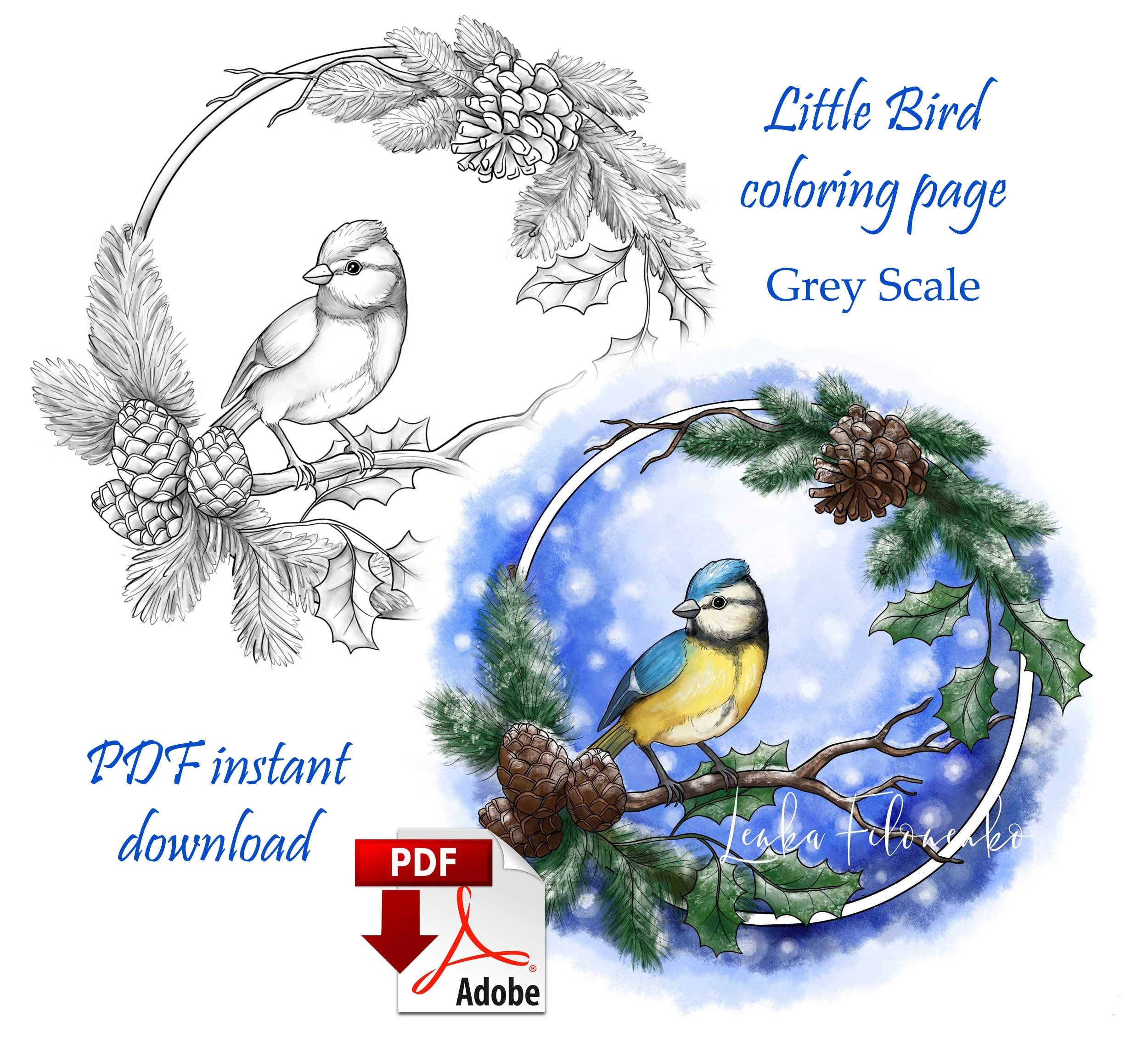 Cute Tit Bird Winter Coloring Page, Greyscale Art (PDF Download) - Etsy ...