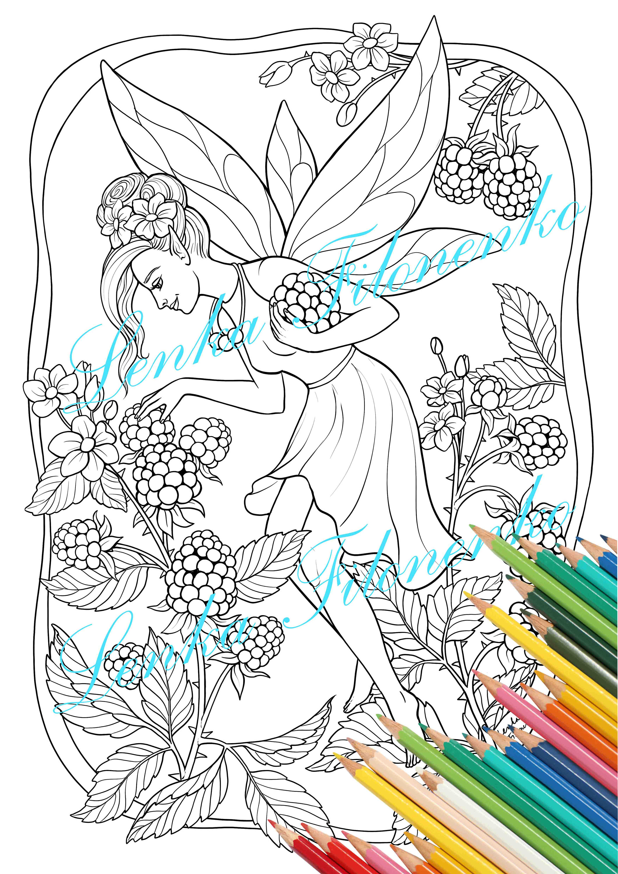 Fairy Printable Line Art Coloring Book, PDF Download - Etsy