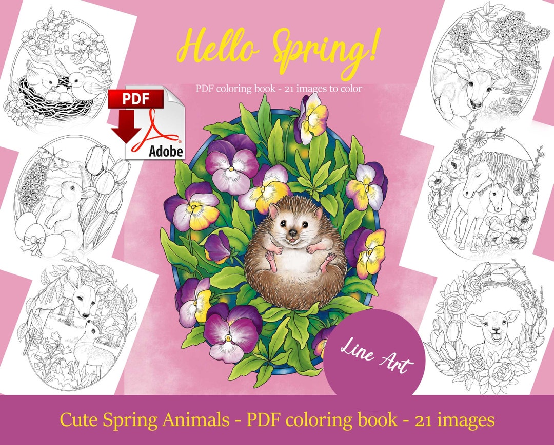 Printable Spring Line Art Coloring Book, Hello Spring! PDF Download - Etsy