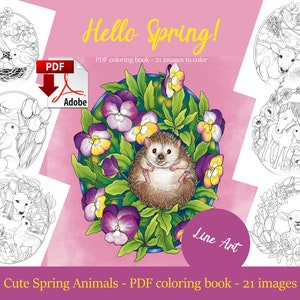 Printable Spring Line Art Coloring Book, Hello Spring! PDF Download - Etsy