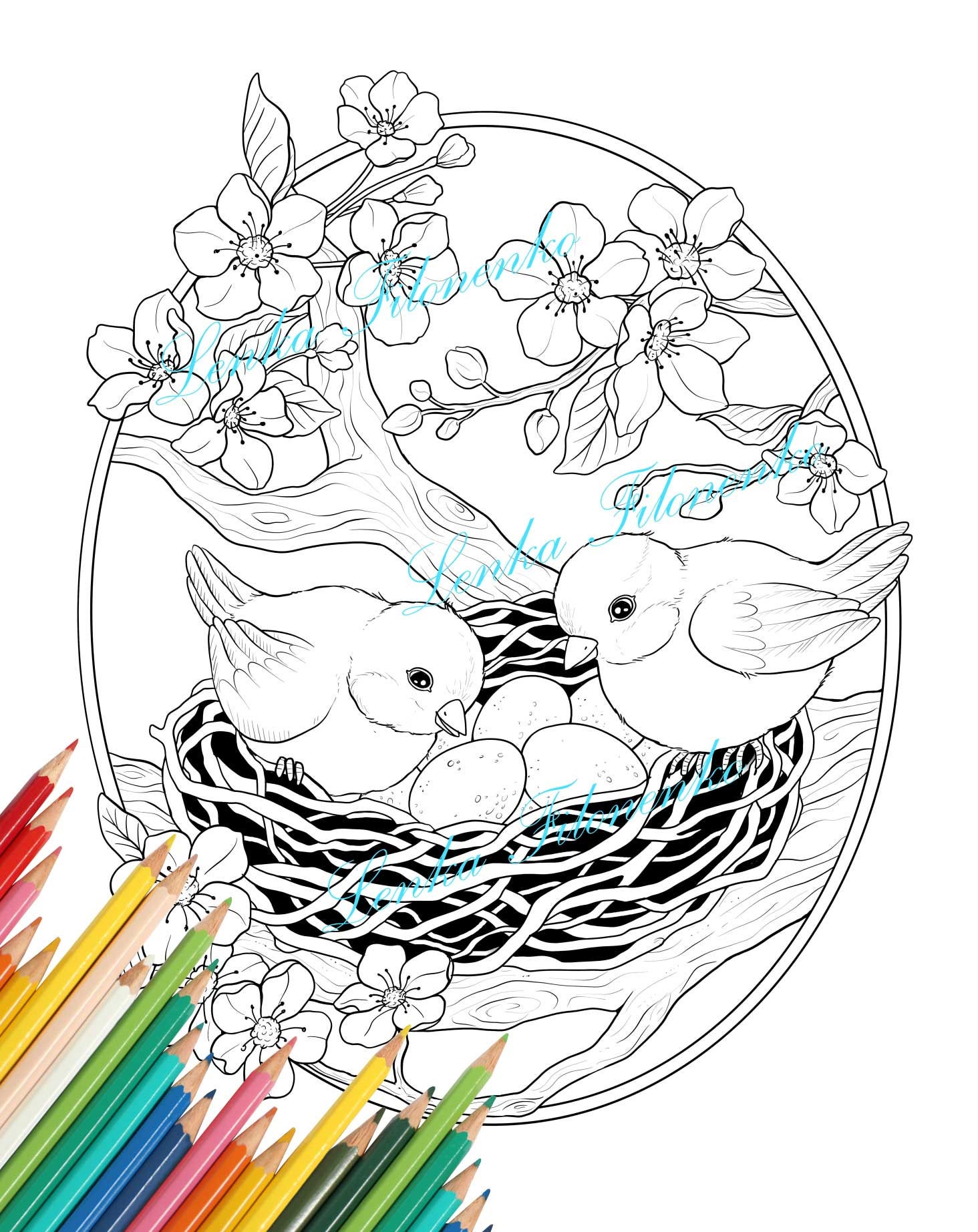Printable Spring Line Art Coloring Book Hello Spring PDF - Etsy