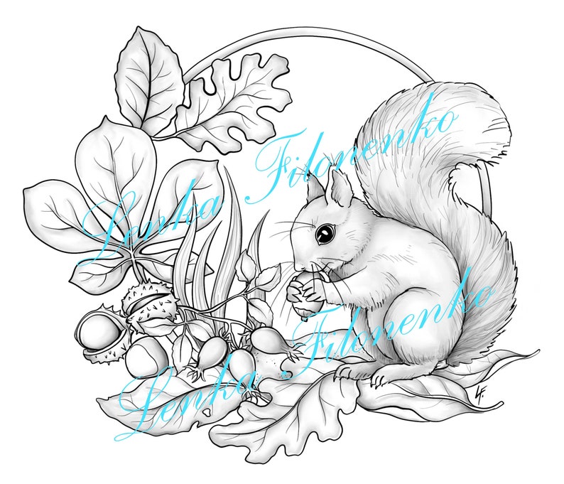 Coloring Page Grey Scale Cute Squirrel Autumn Fall PDF | Etsy