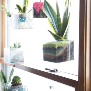 Window Planter Suction Cup 3 Inch Cube Style- Planter That Attaches to ...