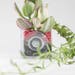 Suction Cup Window Planter -2 Inch Cube Style- Planter That Attaches to ...