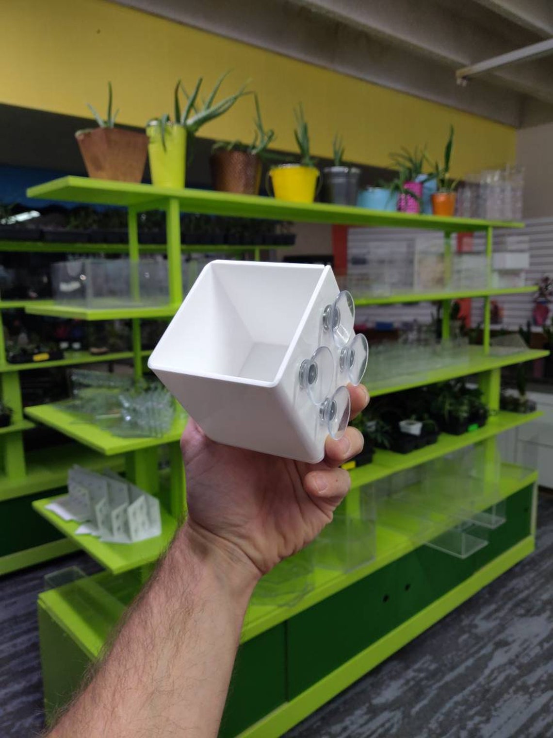 White Window Planter Suction Cup 3 Inch Cube Style Planter | Etsy