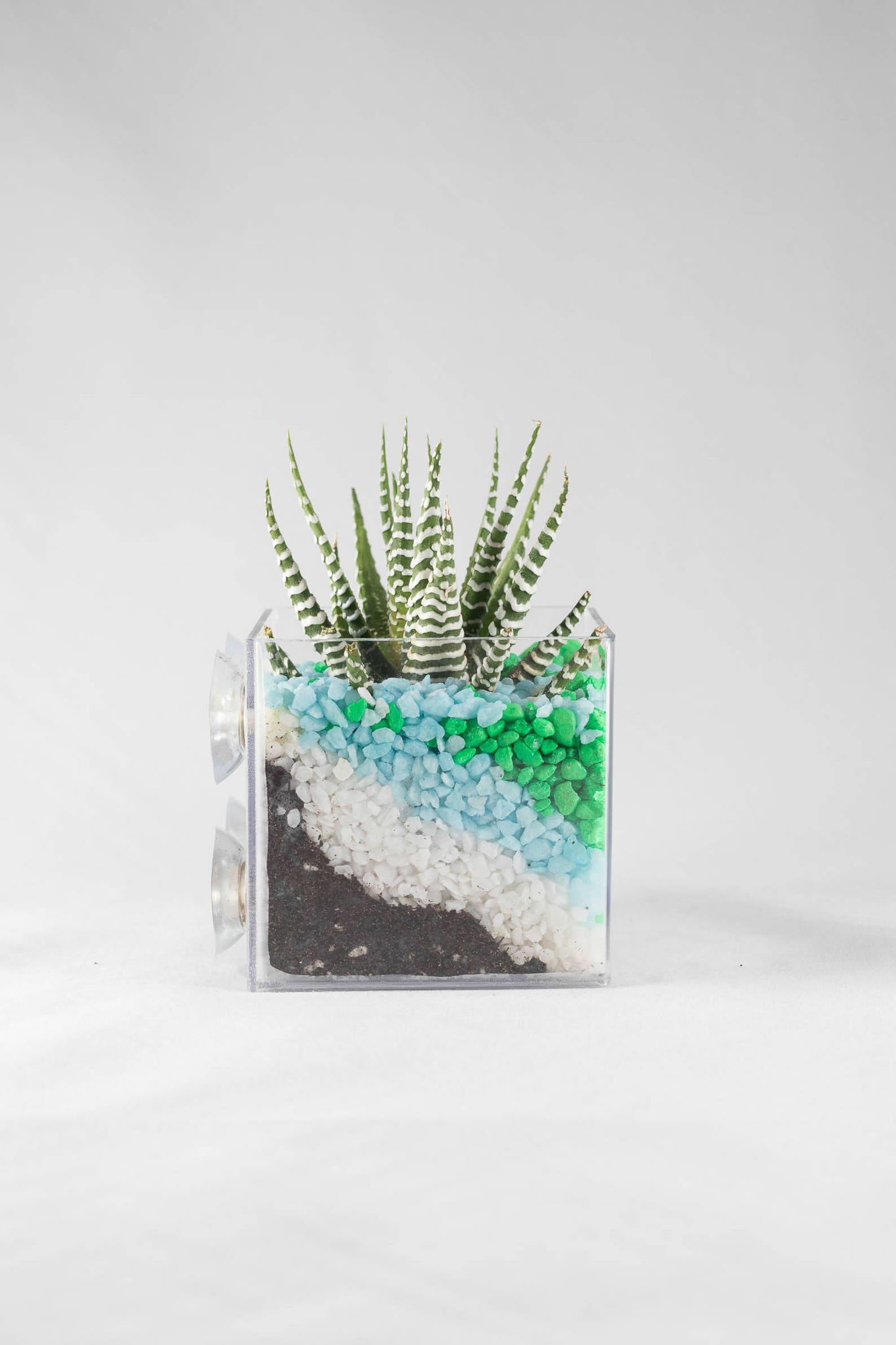 Window Planter Suction Cup 3 Inch Cube Style Planter That - Etsy