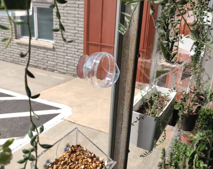 Window Planter Suction Cup 3 Inch Cube Style Planter That Attaches to ...