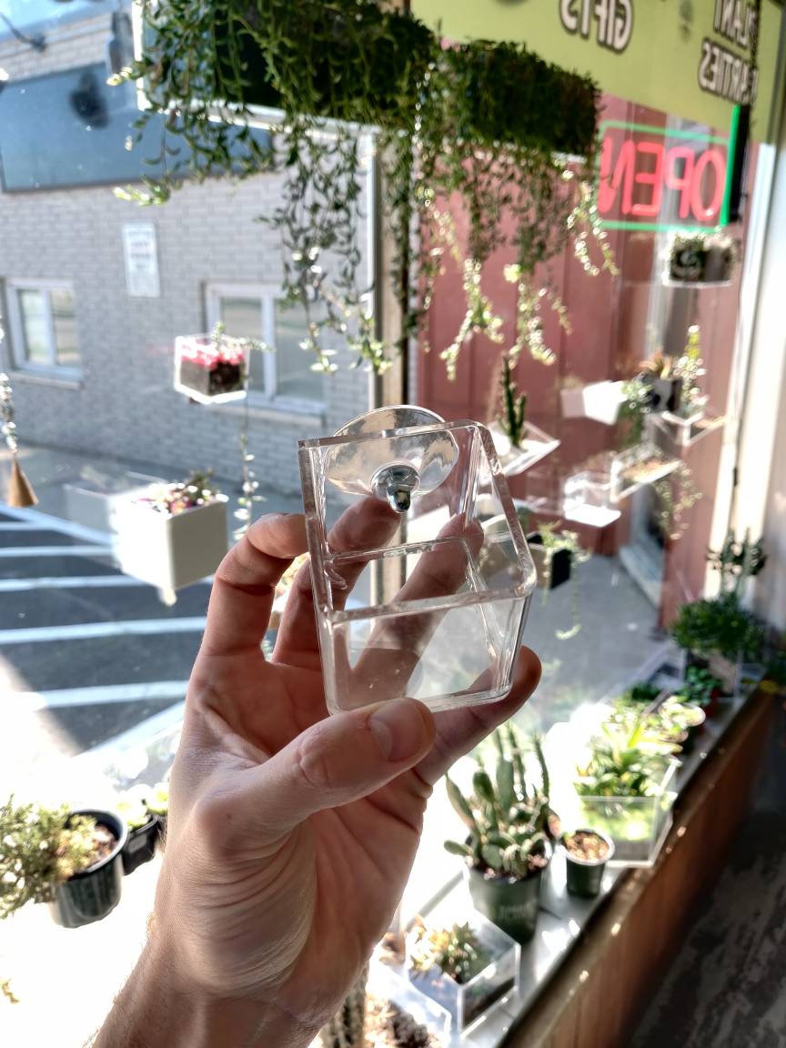 Suction Cup Window Planter 2 Inch Cube Style Planter That - Etsy