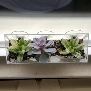 Suction Cup Window Planter Long Triangular Window Box Style | Etsy