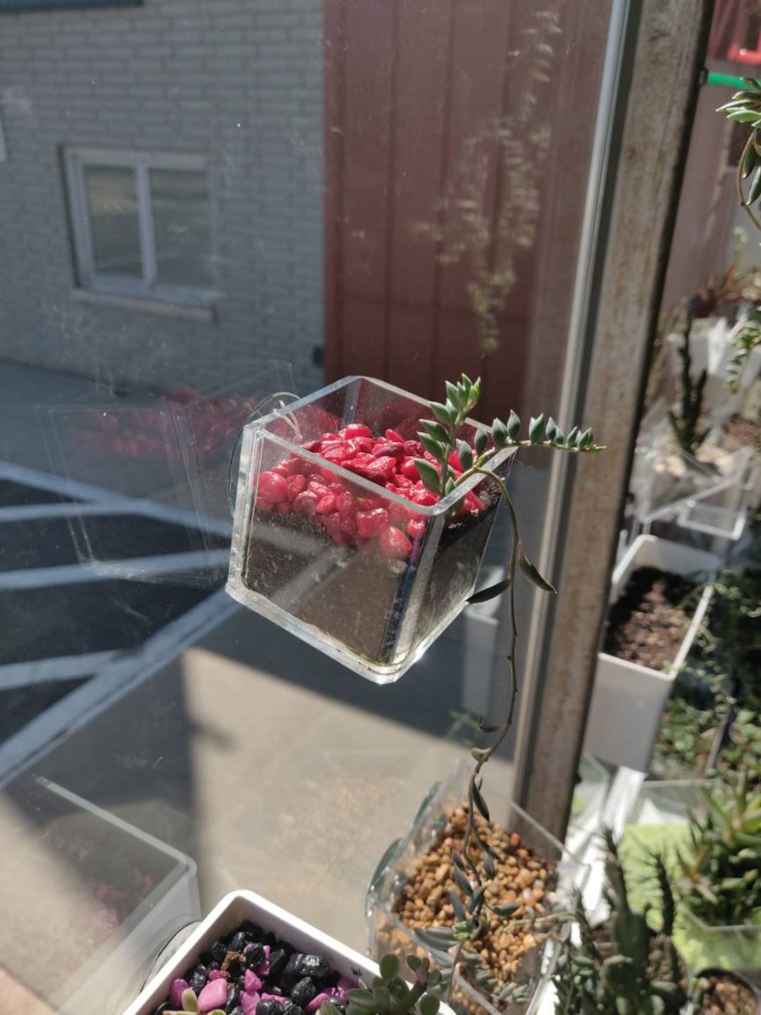 Suction Cup Window Planter -2 Inch Cube Style- Planter That Attaches to ...