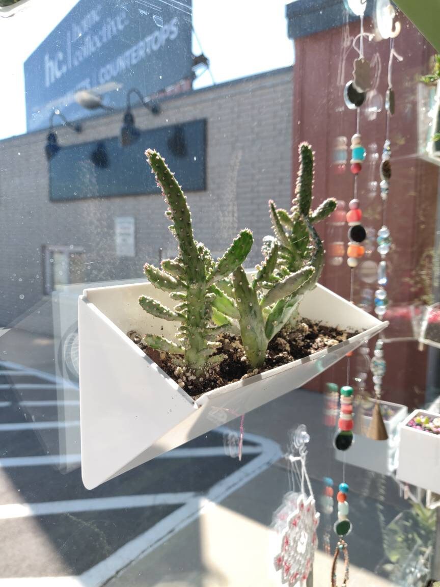 Suction Cup Window Planter White Long Triangular Window Box - Etsy