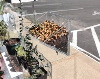 Suction Cup Window Planter - Etsy