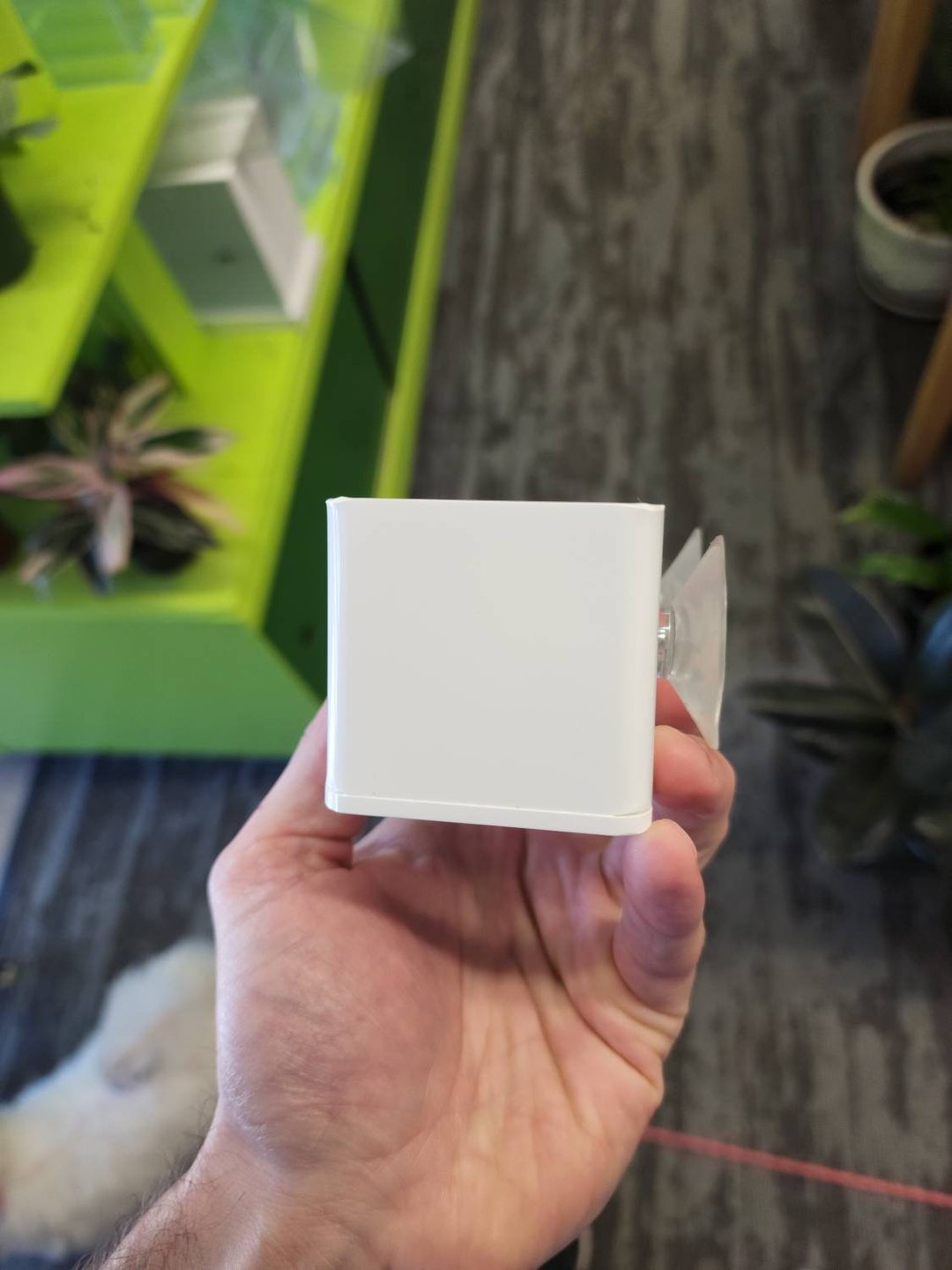 White Suction Cup Window Planter -2 Inch Cube Style- Planter That ...