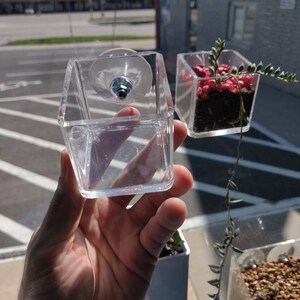 Suction Cup Window Planter -2 Inch Cube Style- Planter That Attaches to ...