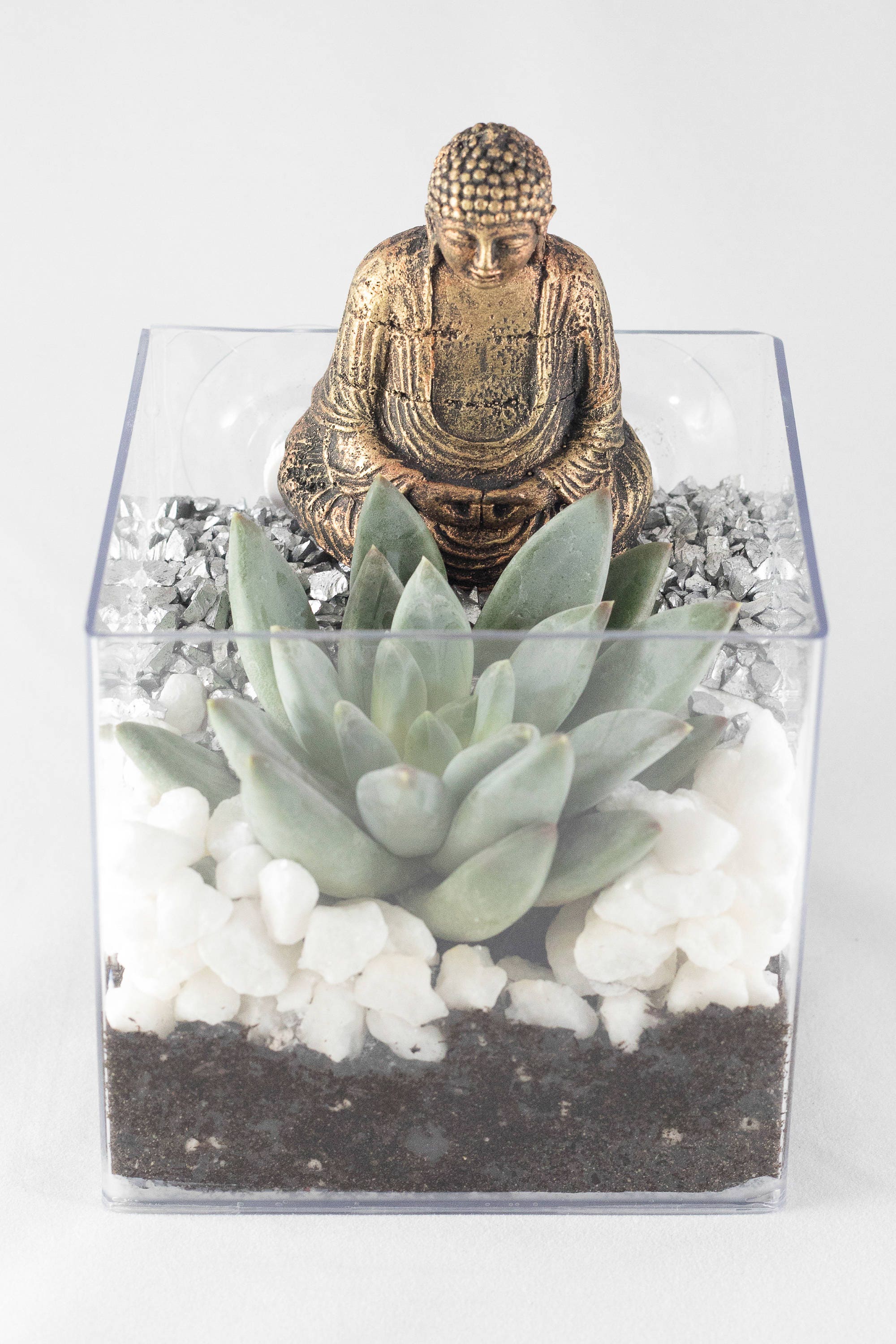 Window Planter Suction Cup Attaching 4 Planters Set Save - Etsy