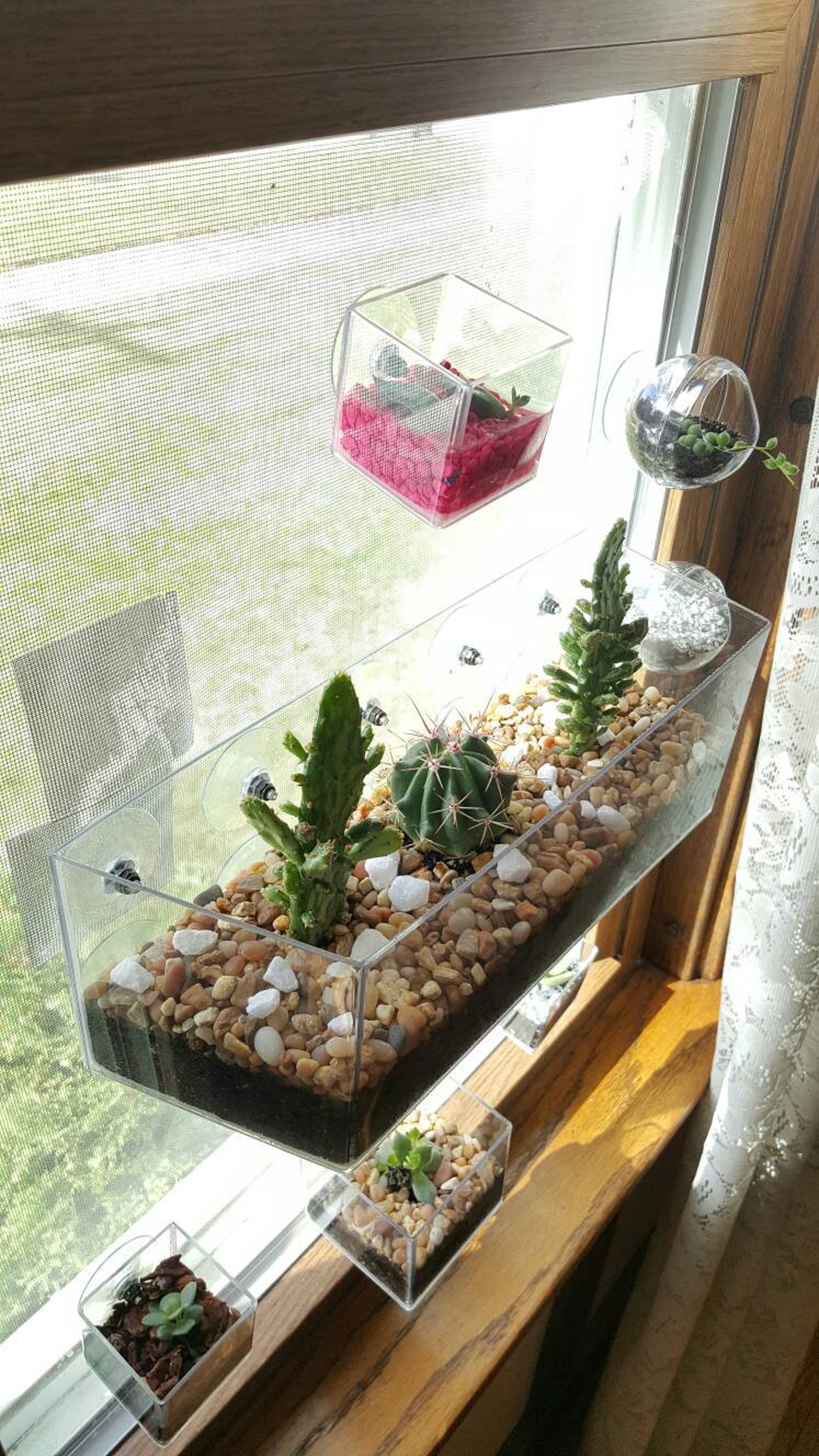 Window Planter 12'x4x4 Herb and Succulent - Etsy