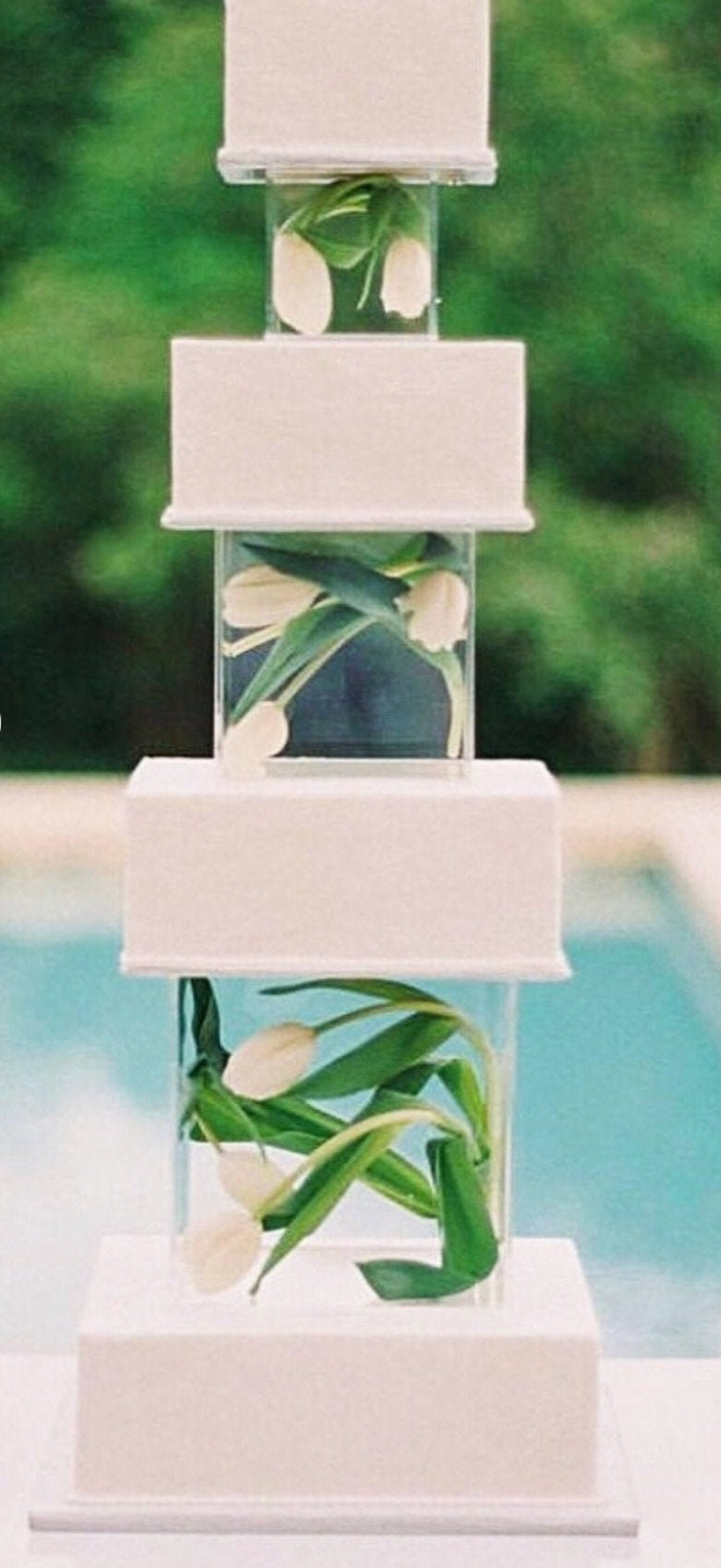 Cake Riser Clear Clear Cake Stand Cake Pedestal Acrylic Acrylic Wedding ...