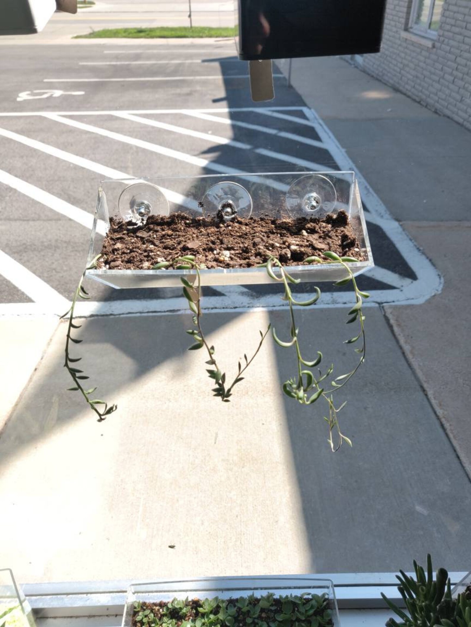 Suction Cup Window Planter Long Triangular Window Box Style | Etsy