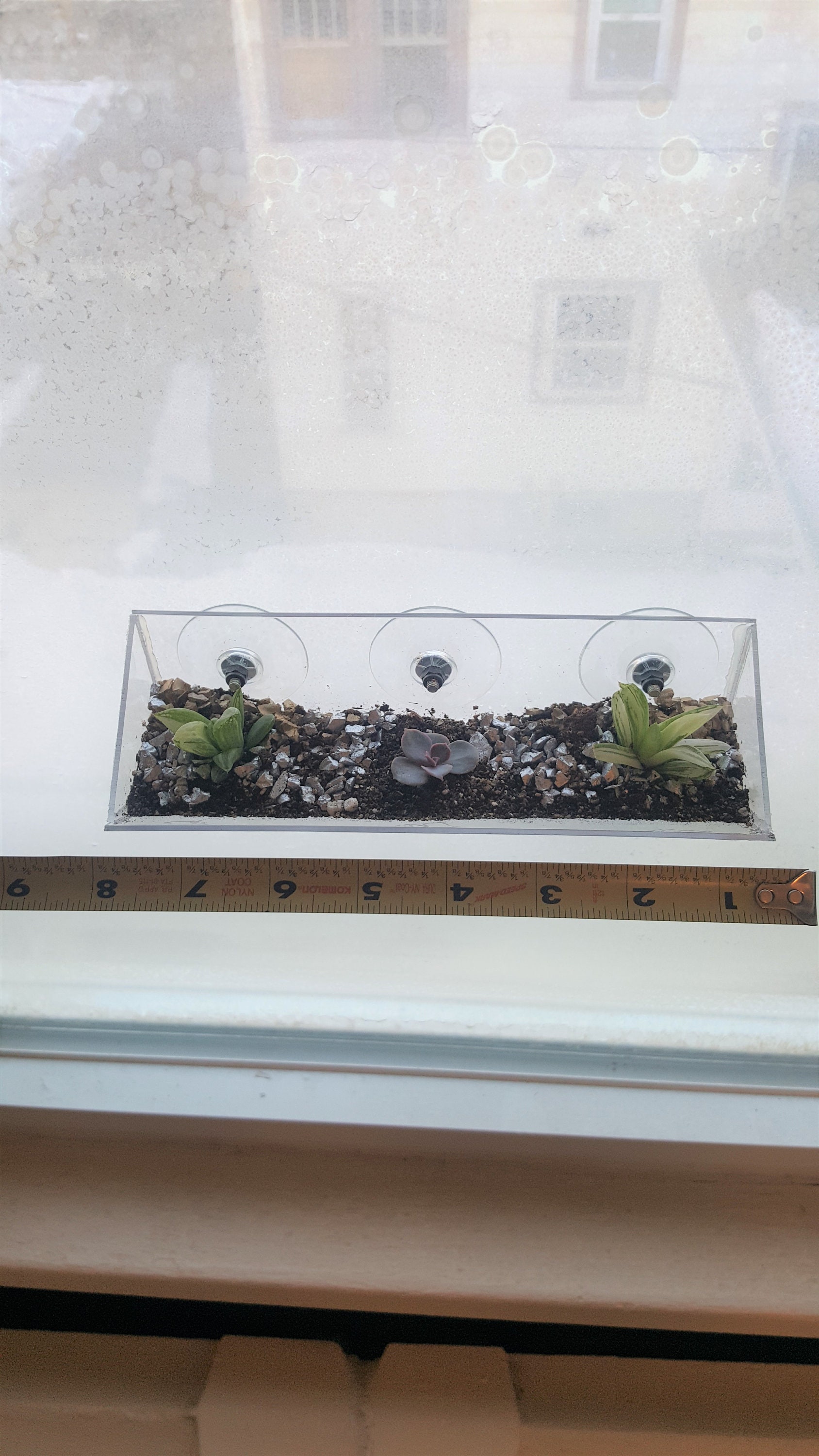 Suction Cup Window Planter Long Triangular Window Box Style | Etsy