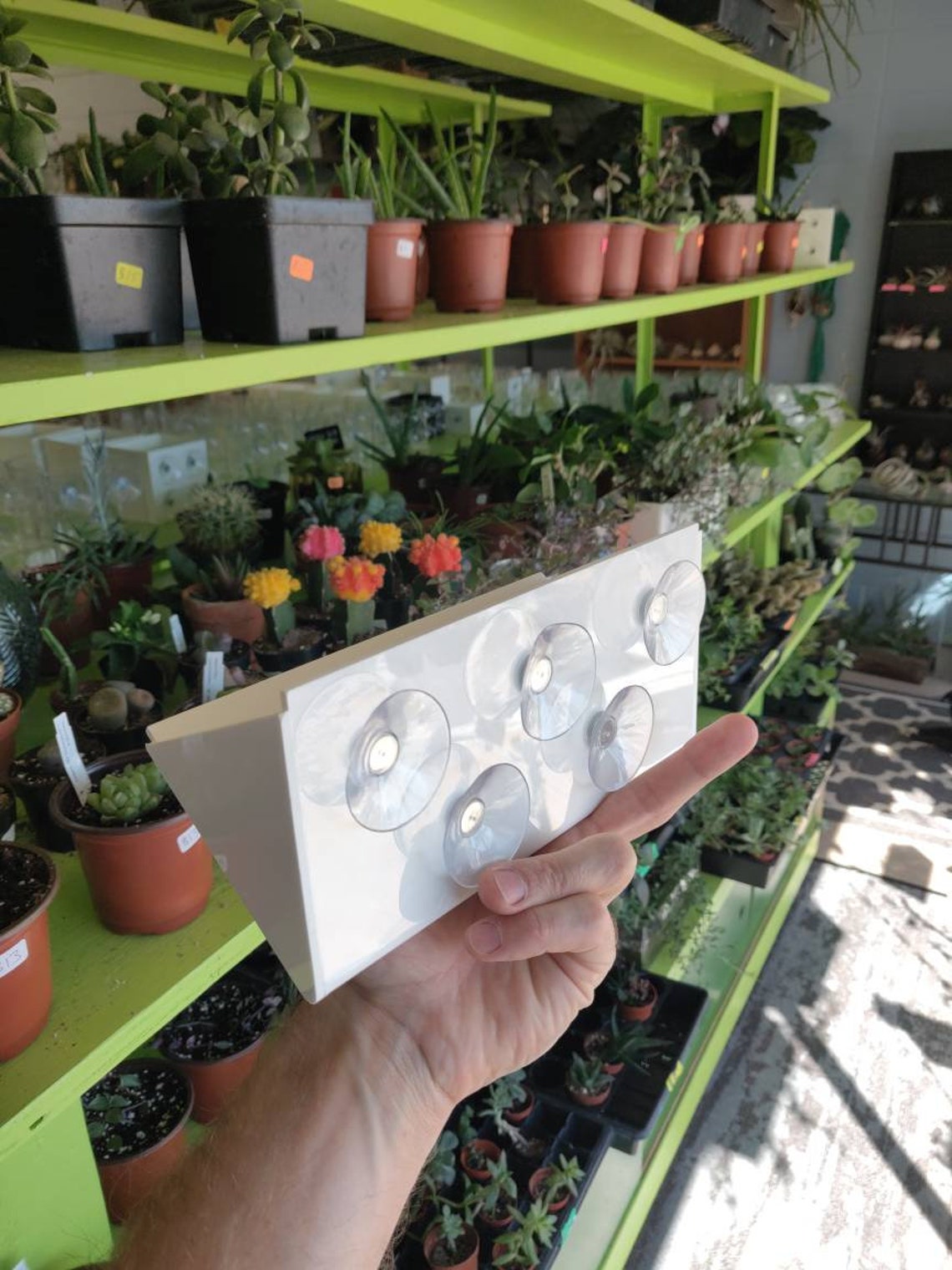 Suction Cup Window Planter White Long Triangular Window Box - Etsy