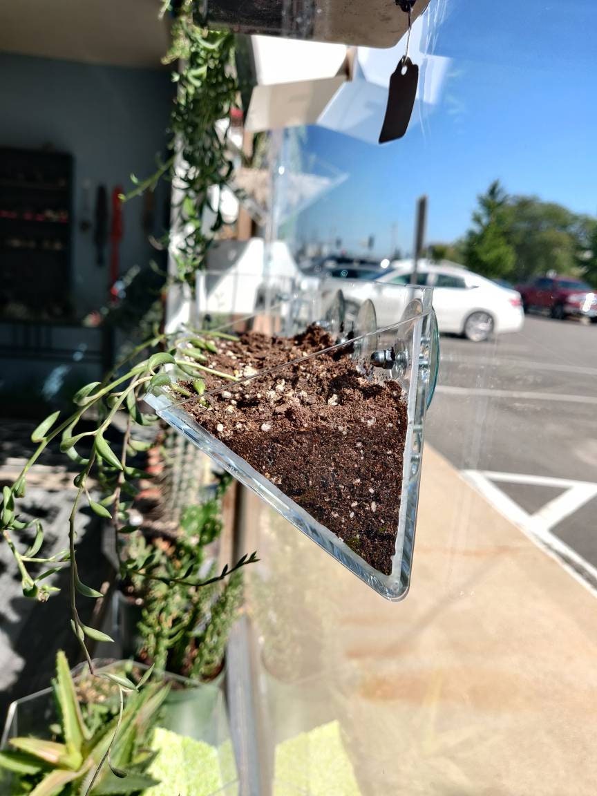 Suction Cup Window Planter Long Triangular Window Box Style | Etsy