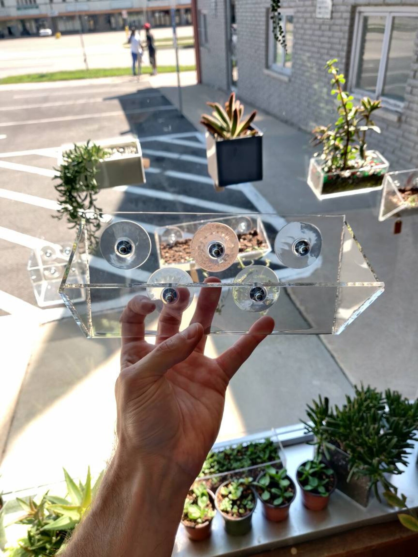 Suction Cup Window Planter Long Triangular Window Box Style | Etsy