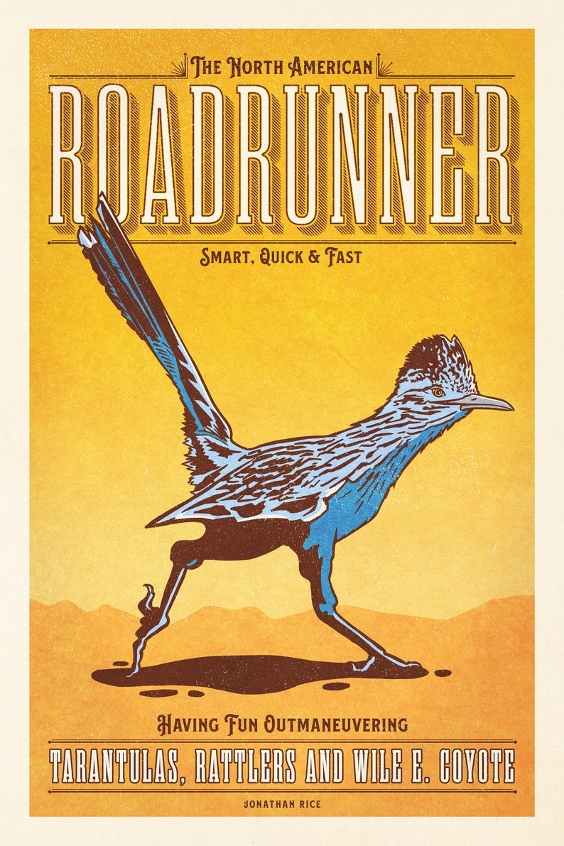 Retro Style Humorous Roadrunner Poster - Roadrunner Print - American ...