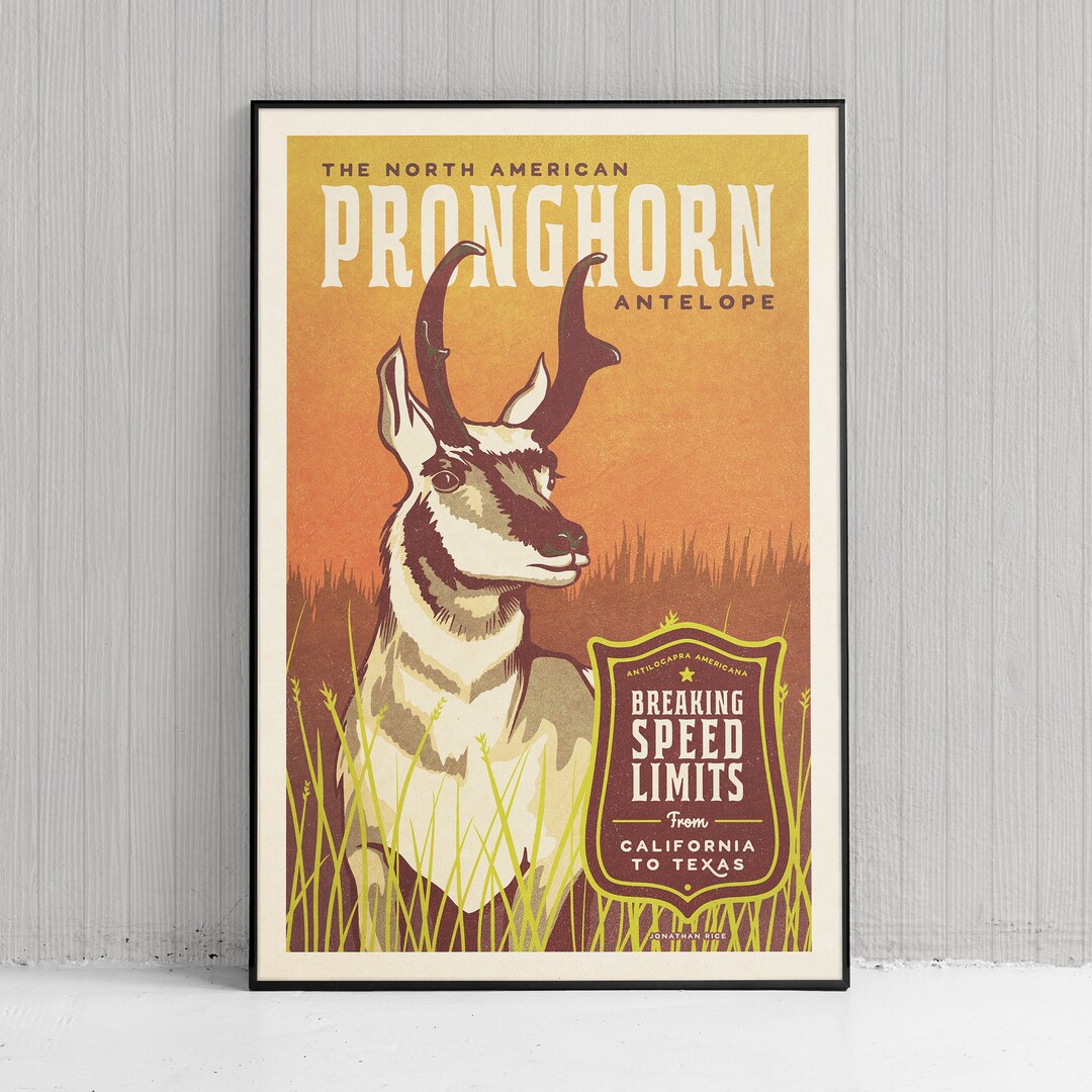 Retro Style Humorous Pronghorn Antelope Poster - Pronghorn Antelope ...