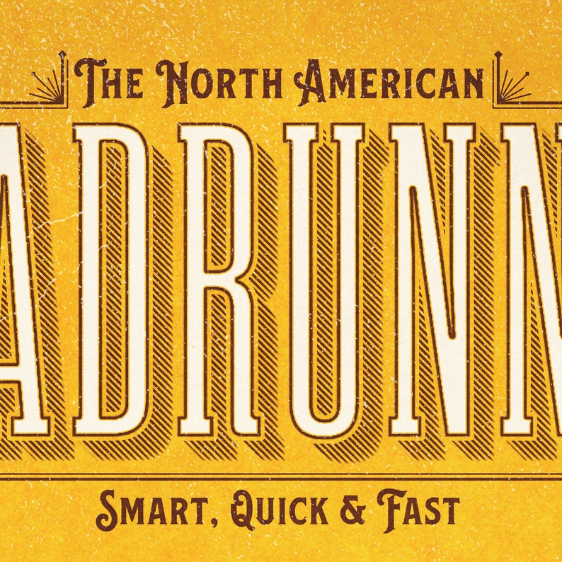 Retro Style Humorous Roadrunner Poster - Roadrunner Print - American ...