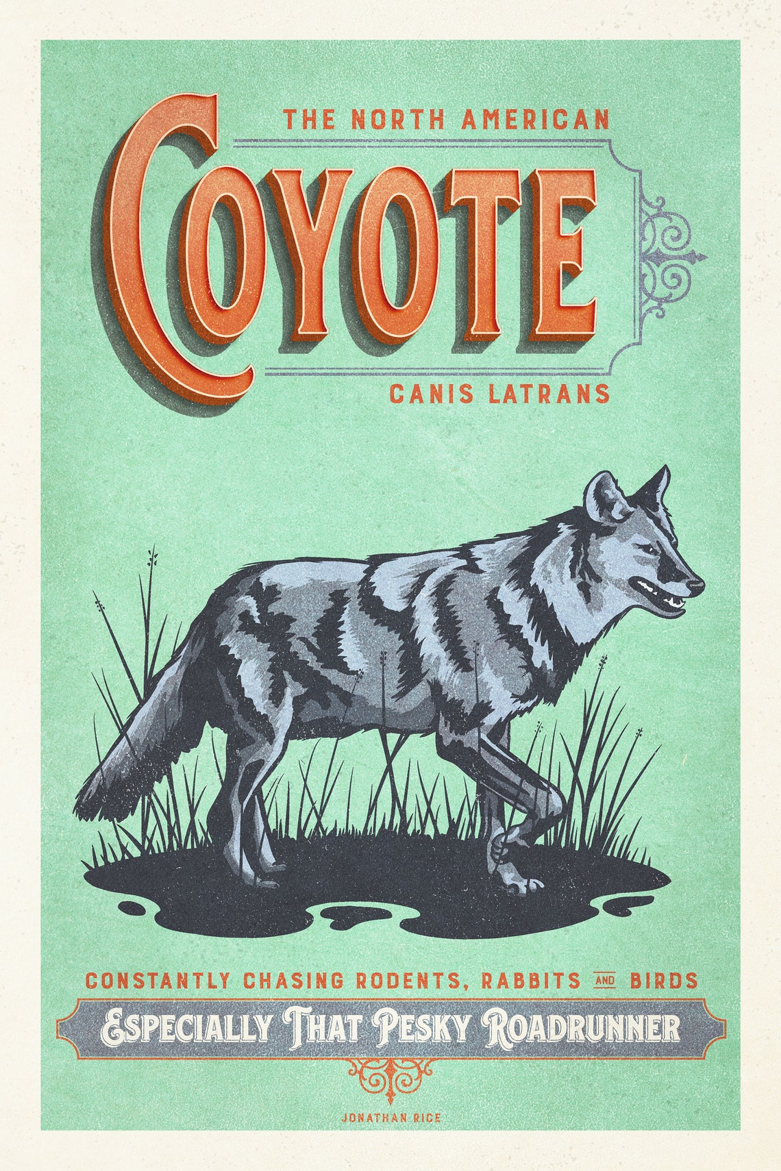 Retro Style Humorous Coyote Poster Coyote Print American | Etsy