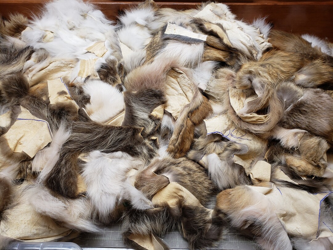 Fur Scrap Pieces - 1 Pound - Etsy