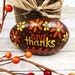 Give Thanks Painted Rock, Thanksgiving Decoration, Harvest Decoration ...