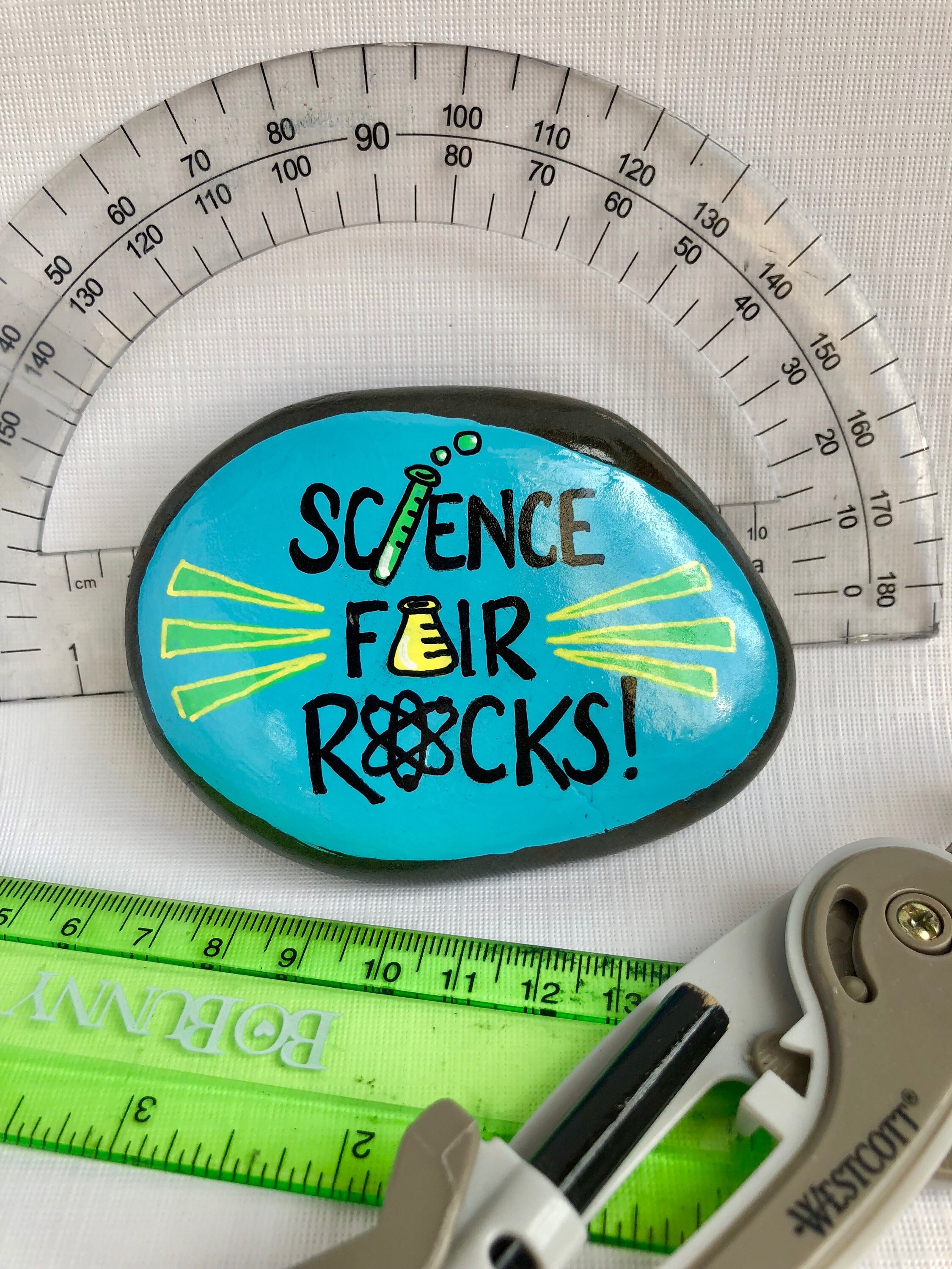 Science Fair Rocks Painted Stone Science Fair Gift for | Etsy