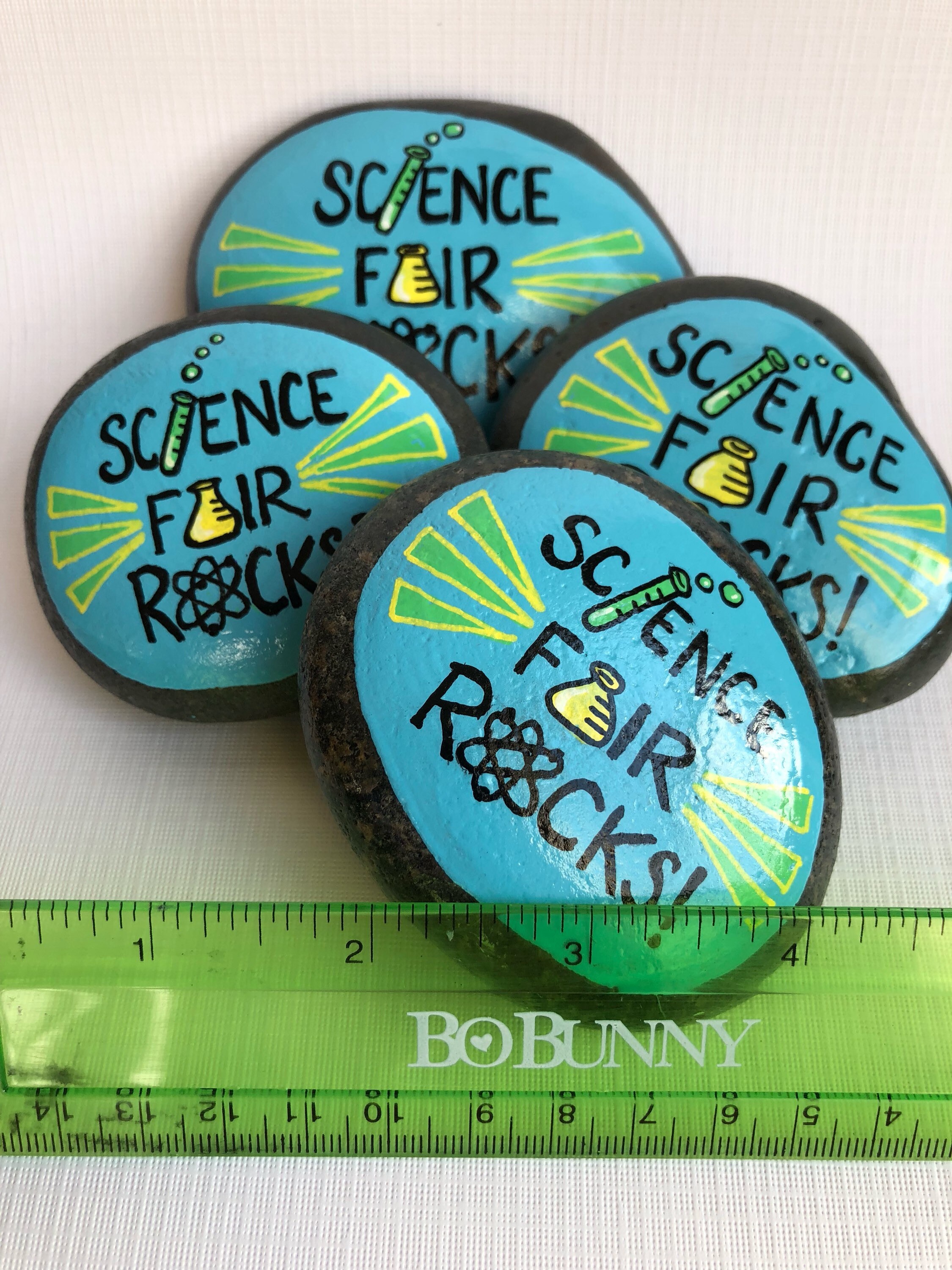 Science Fair Rocks Painted Stone Science Fair Gift for | Etsy
