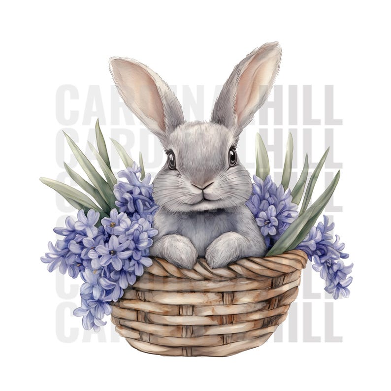 5 Easter Bunny Clipart L Bunny in Basket White Flowers L PNG Digital ...