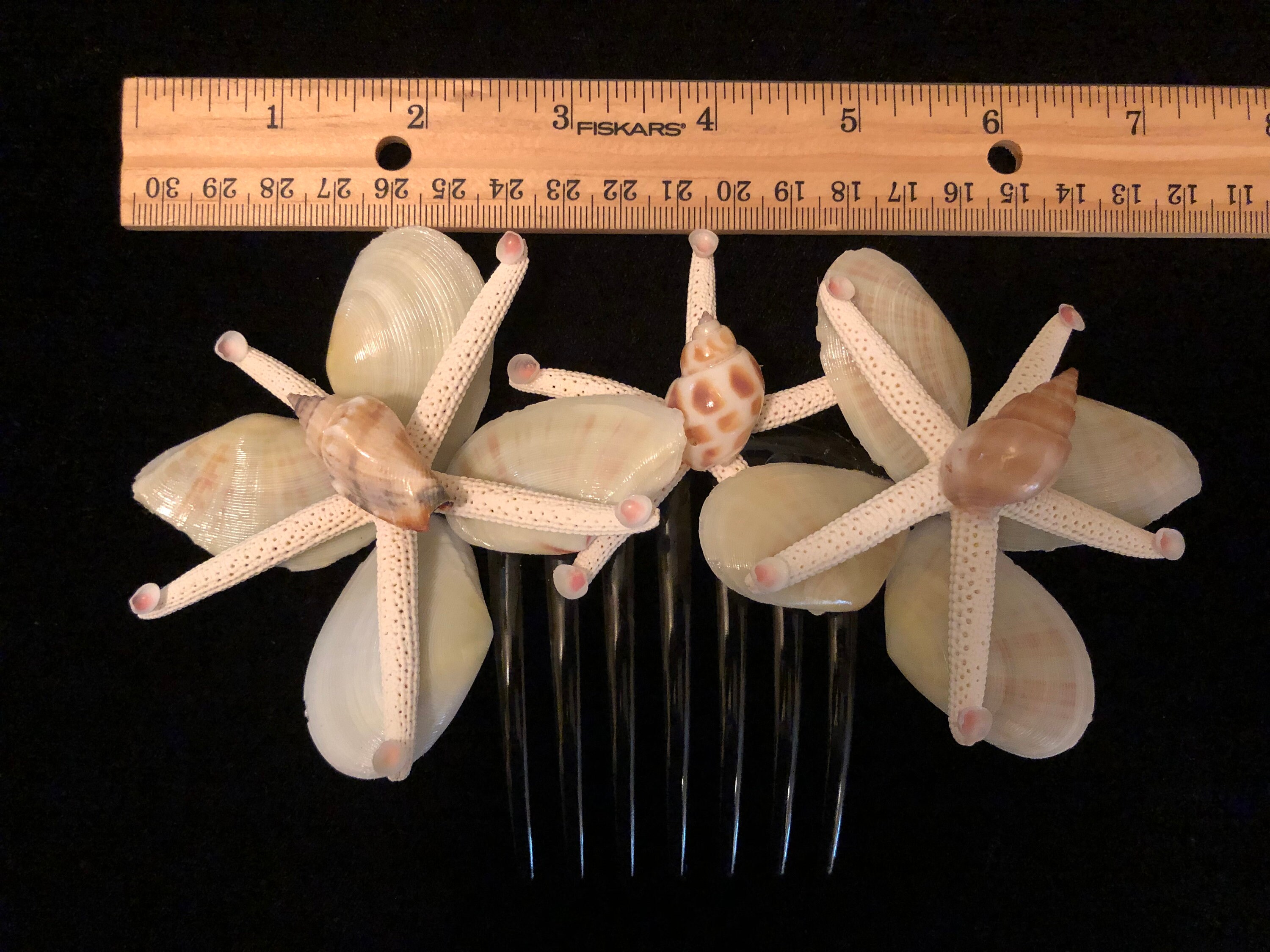 Clam Shell Butterfly French Hair Combhair Trinketsvintage | Etsy