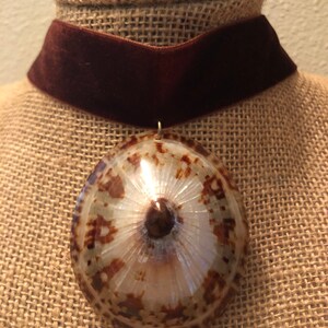 Multi-choice Opihi ( Limpet ) Shell Chokers,one of A Kind Opihi Shells ...